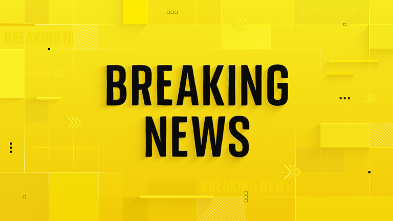 Woman pleads guilty to being in charge of out of control XL bully dog ...