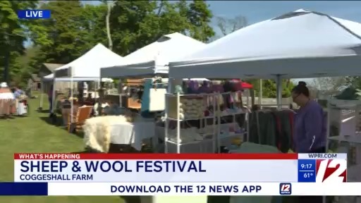 What's happening: Sheep & Wool Festival