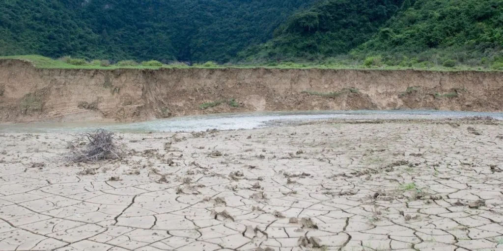 UN report details AI's escalating water and environmental costs