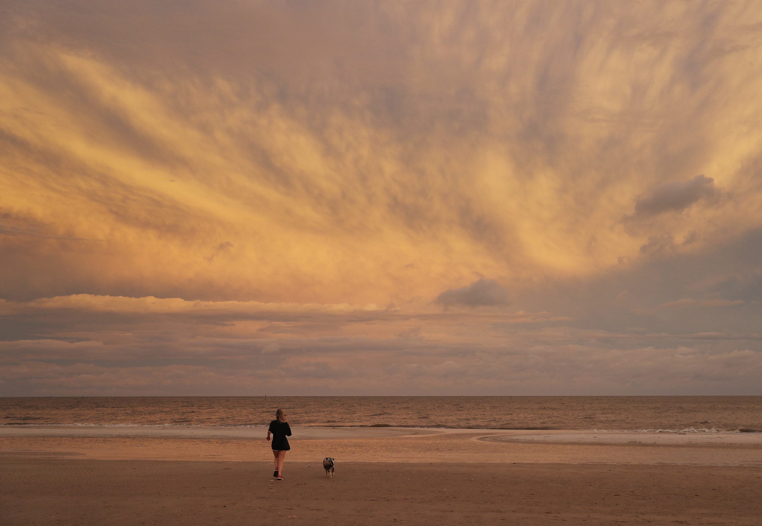 Advisories issued for popular Mississippi beaches due to fecal bacteria ...