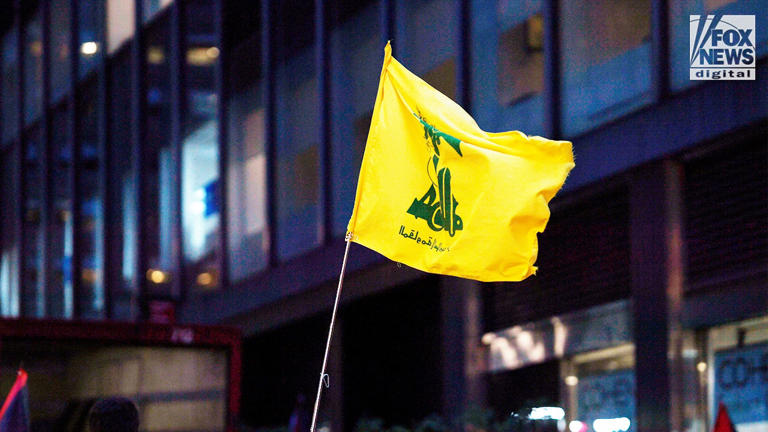 Hamas, Hezbollah flags fly at anti-Israel protest minutes after Mamdani ...