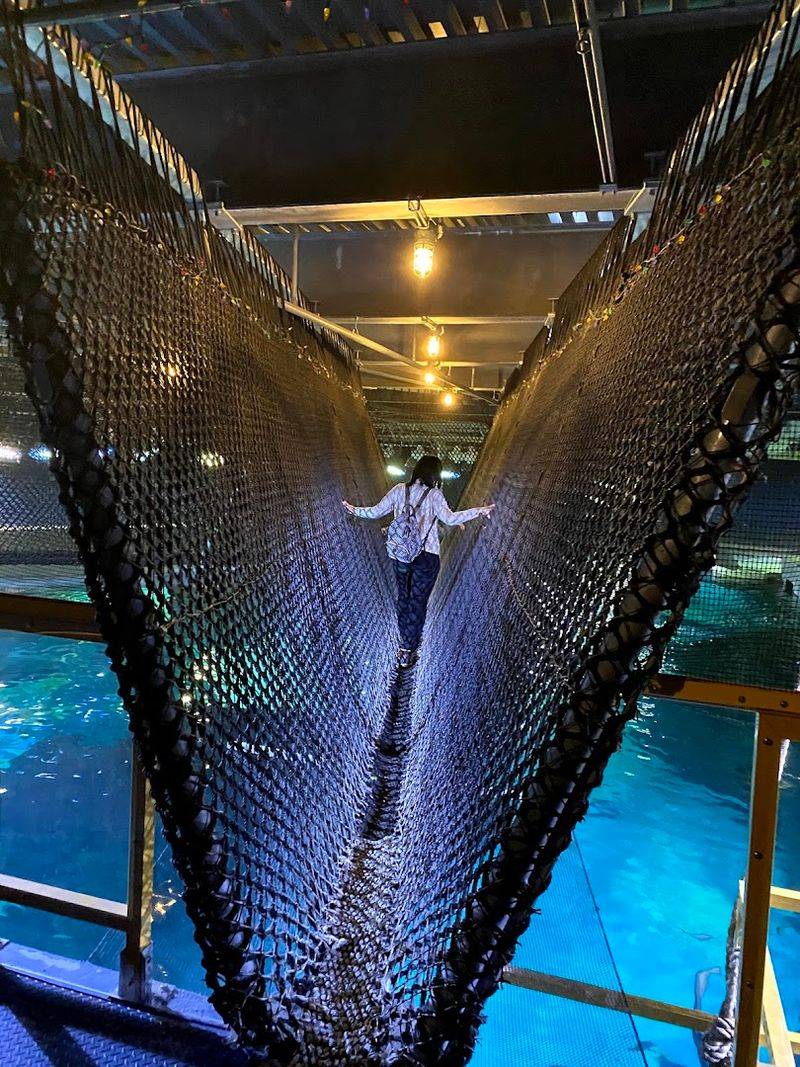 This rope-suspension shark walk in New Jersey feels like the ultimate dare