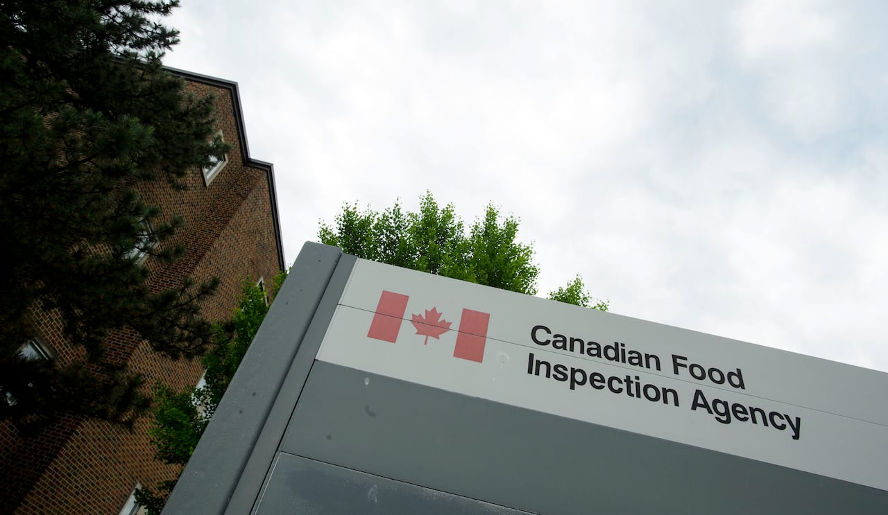 Microgreens sold in Ontario, Quebec recalled due to possible E coli ...