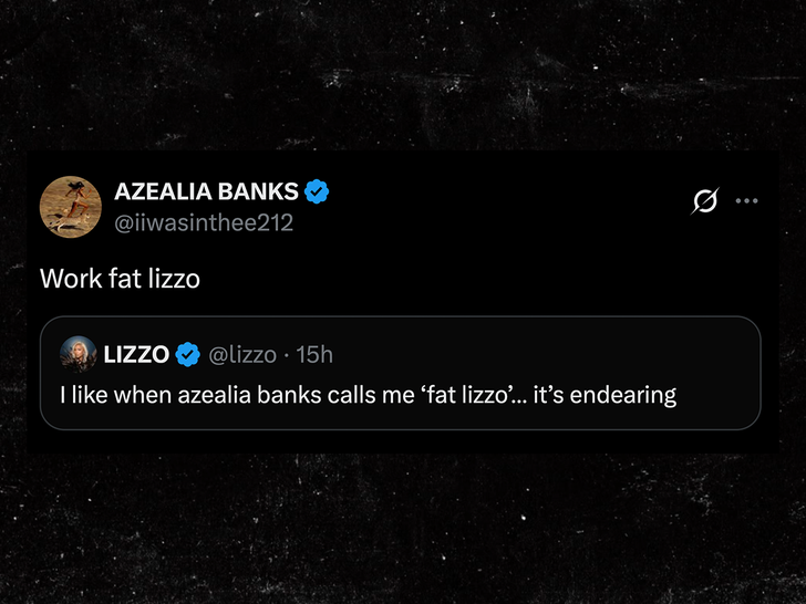 Lizzo says being called fat by Azealia Banks is endearing
