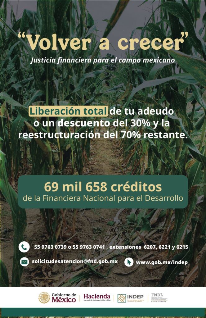 Volver a crecer: Gobierno elimina tus deudas, así aplicas