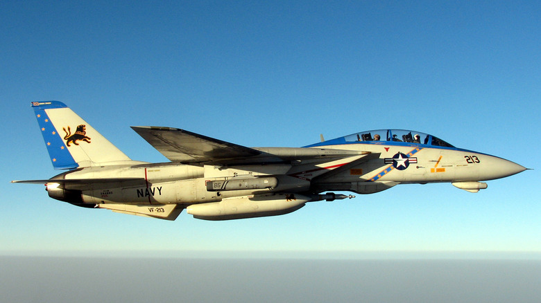 The 'Maverick Act' could lead to the US flying F-14D Tomcat fighter ...