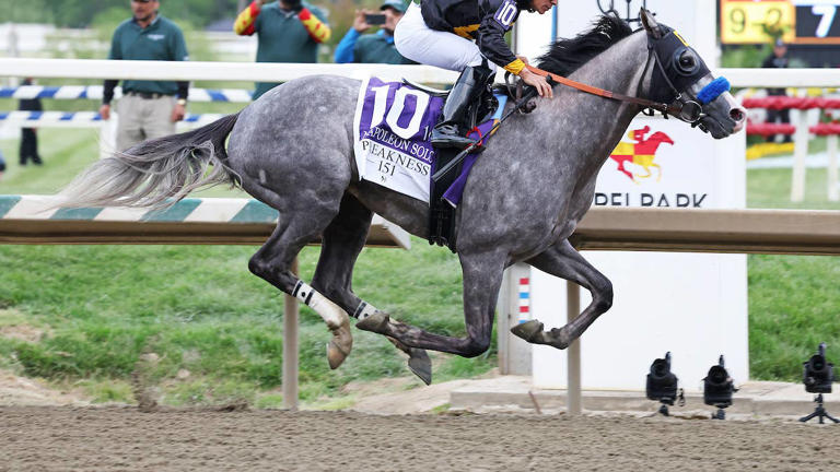 Report: Preakness winner Napoleon Solo sold, to stand at Lane’s End ...
