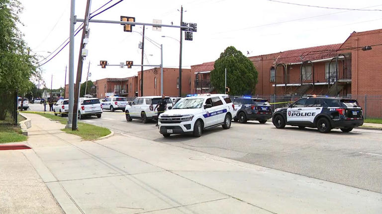 Houston: Person with knife shot, killed by METRO police near Botanic Garden