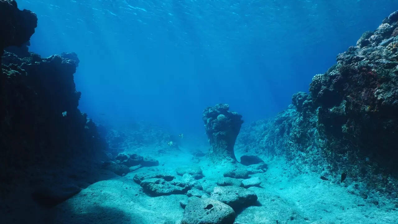 This underwater fault near Ecuador has baffled scientists for decades ...