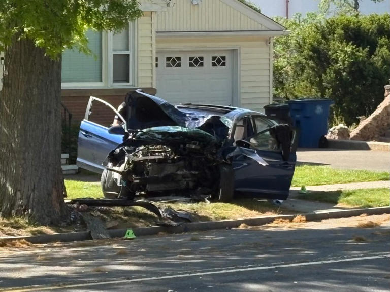 1 dead, others injured after car crashes into tree on Woodward Avenue ...