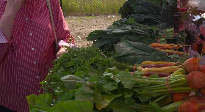 Genuine MS farmers market supports local farmers and businesses