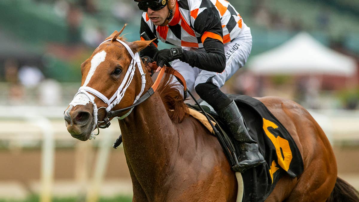 Queen Maxima makes quick turnaround and wins Mizdirection