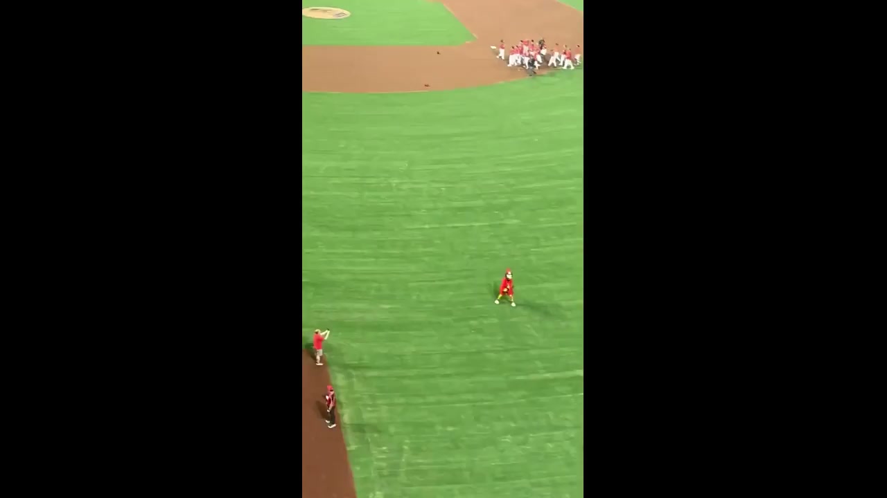 Fredbird the Cardinals mascot goes tarp off