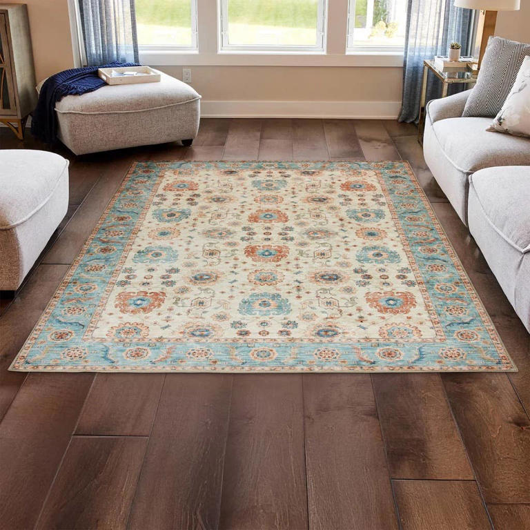 Costco's washable area rug is a stylish solution for dog parents