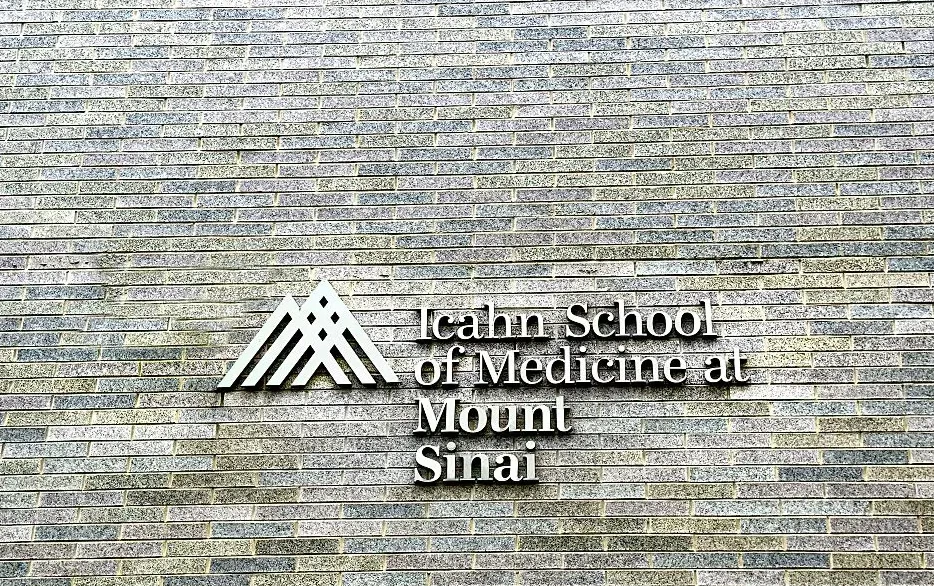 Mount Sinai team rejuvenates aging blood stem cells via lysosome control