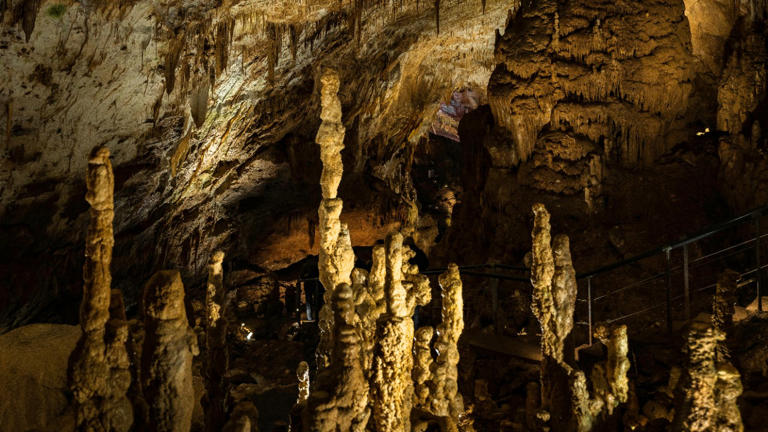 Archaeologists opened a cave sealed for 40,000 years and found it ...