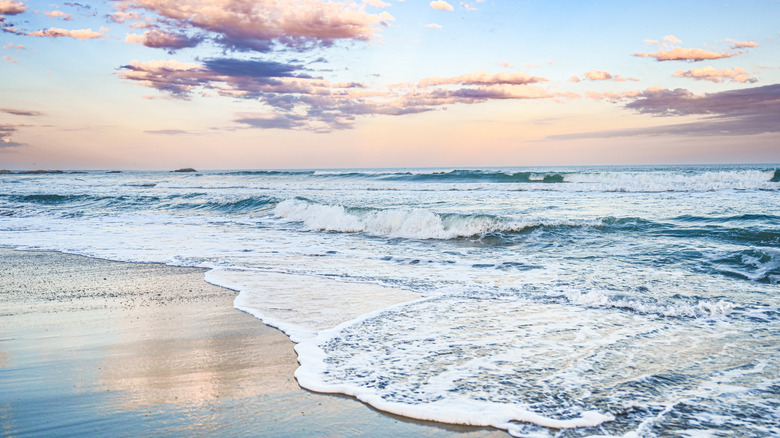 These are the 5 best beaches in Rhode Island, according to reviews