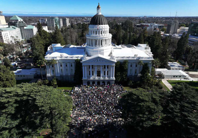 Gavin Newsom's 'free diapers' scheme hit with cronyism firestorm over ...