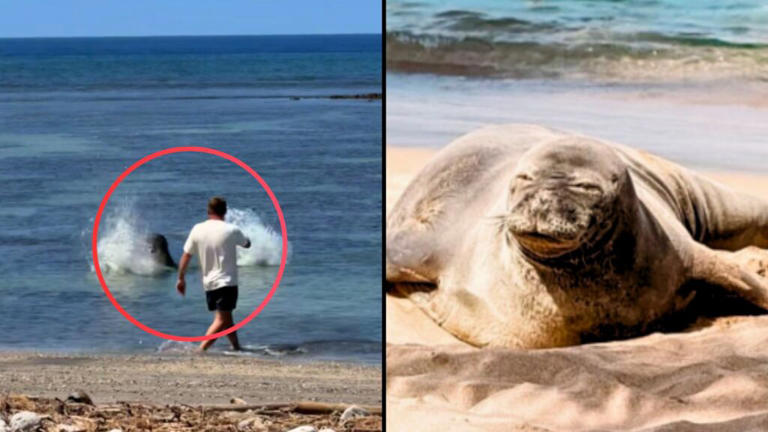 'I don't care. Fine me, I'm rich,' tourist said before being detained ...