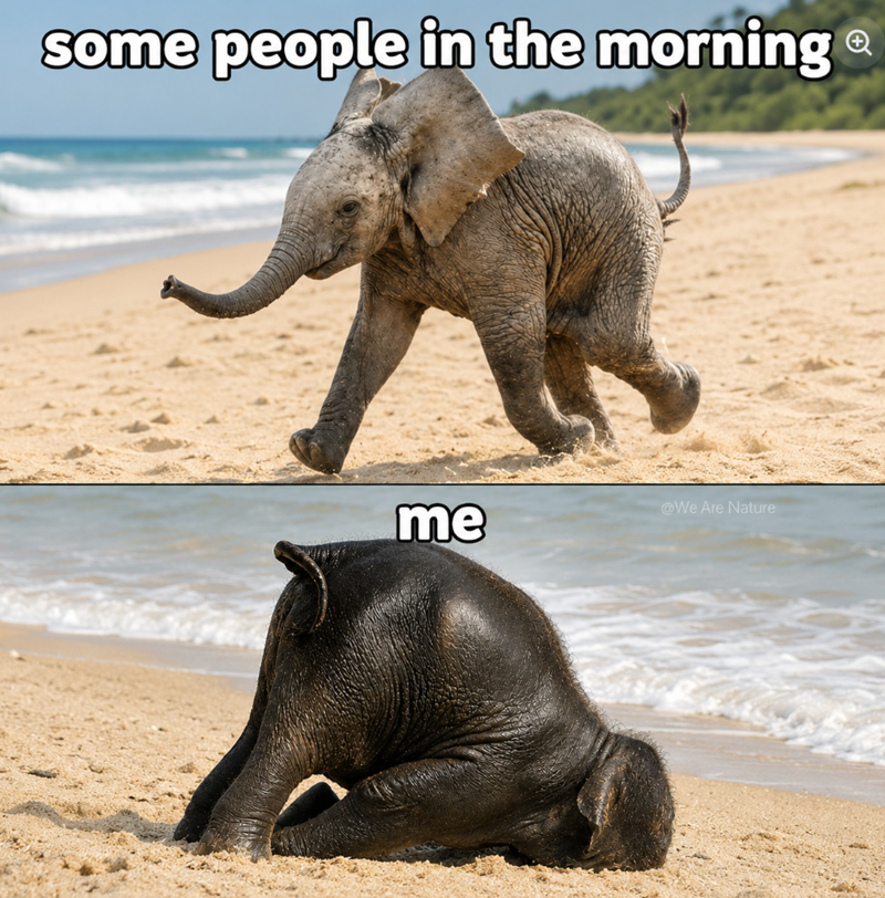 21 sweet elephant and horse memes for gentle giants