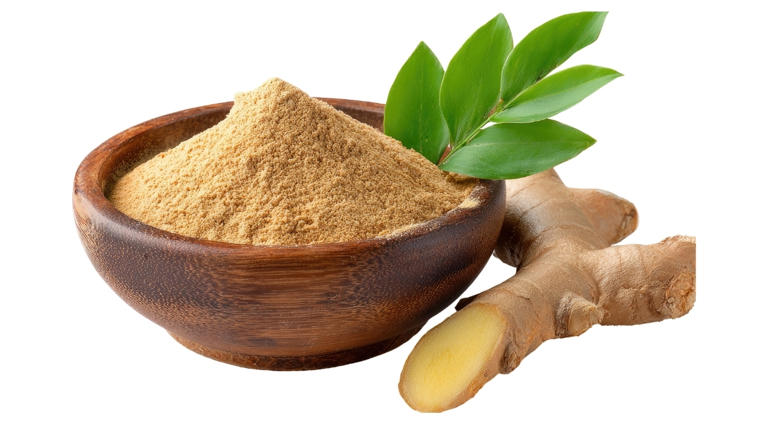 Which state is the largest producer of ginger in India?