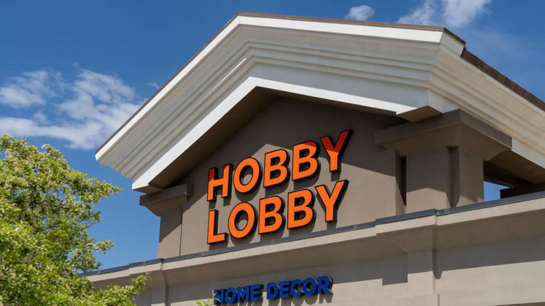 Hobby Lobby's $3 boho wildflower box: Stylish storage solution for ...