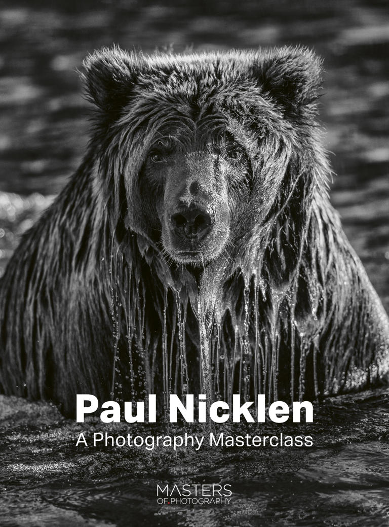 Paul Nicklen's reveals his camera set-up tips for award winning ...