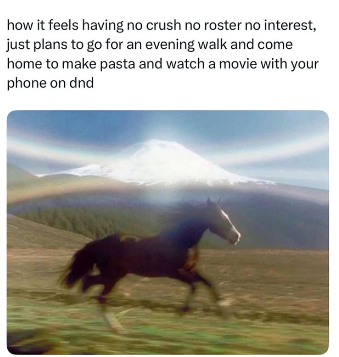 21 sweet elephant and horse memes for gentle giants