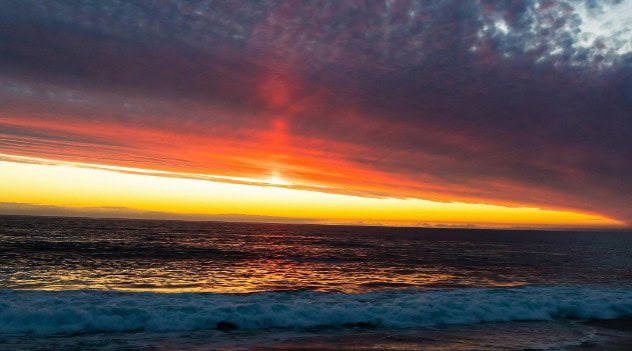 Tiny traces of red tide pop up in Florida’s Panhandle after weeks of ...