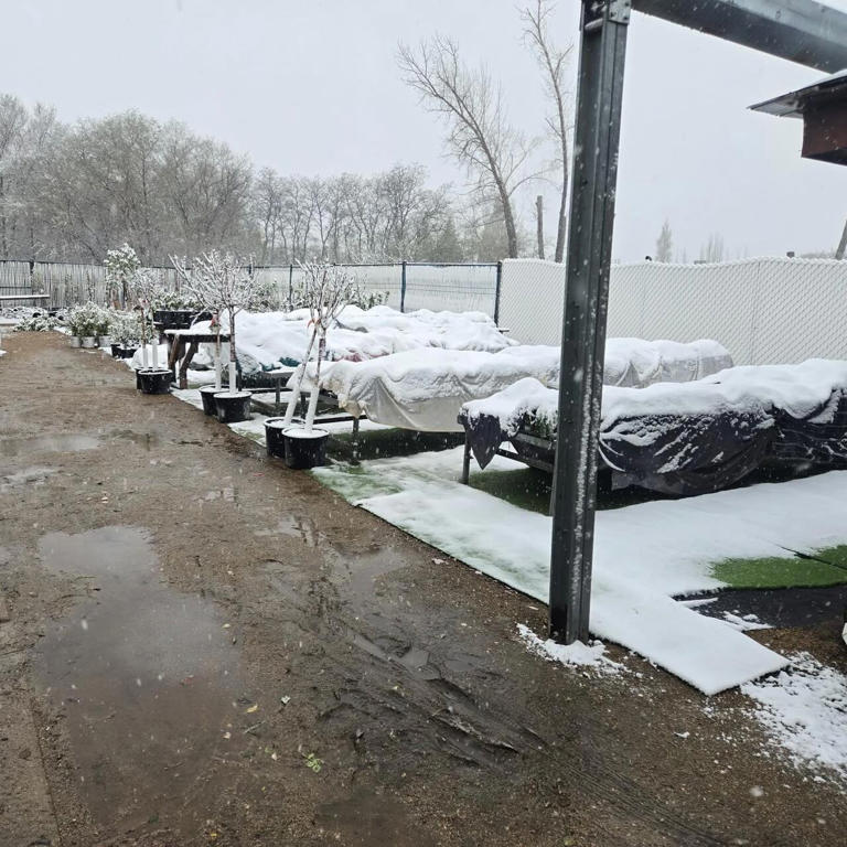 Environment Canada warns of heavy weekend snowfall, rain as Sask ...