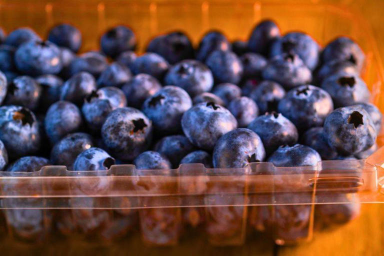 Blueberries will stay fresh for weeks without becoming mouldy if you do ...