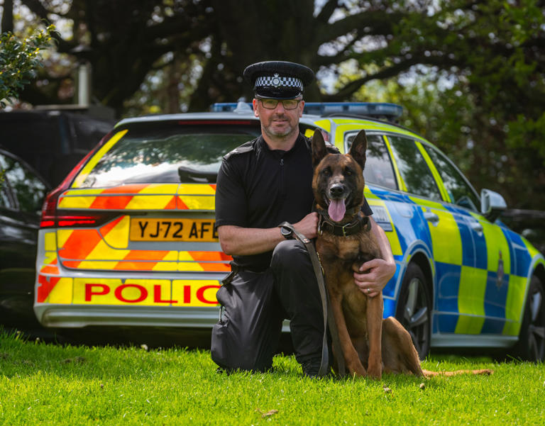 In pictures: Prestigious National Police Dog Trials take place in Wakefield