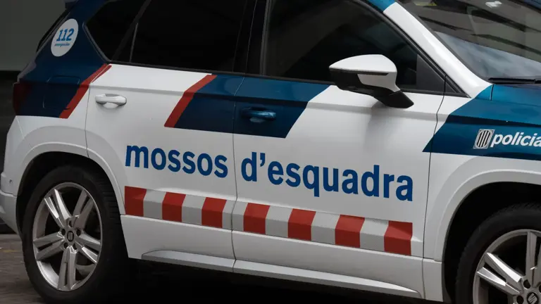 Cuatro detenidos y 150 identificados con 1.182 antecedentes en el ...