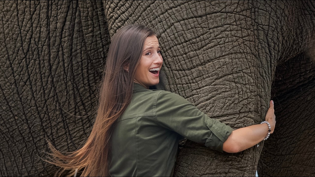 I hugged the world's biggest elephant! 🐘