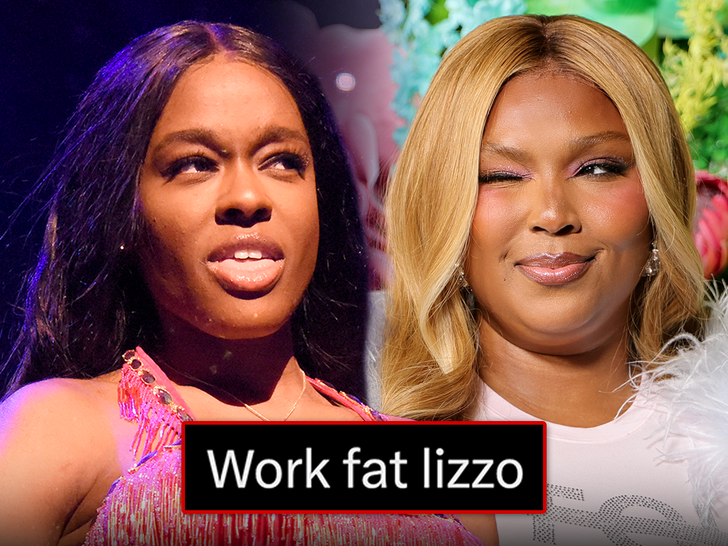 Lizzo says being called fat by Azealia Banks is endearing