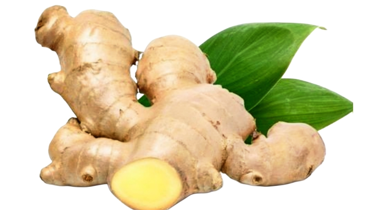 Which state is the largest producer of ginger in India?