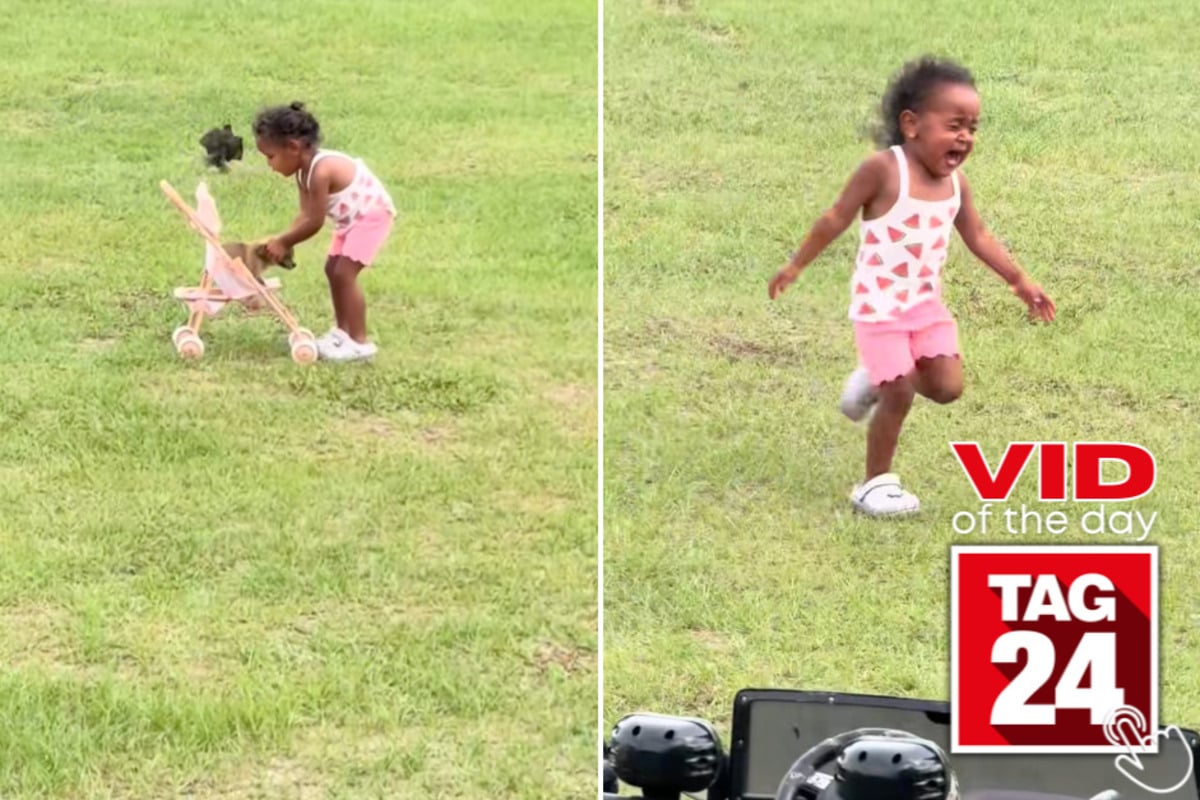 Viral video of the day for May 16, 2026: Bird on the loose sends ...