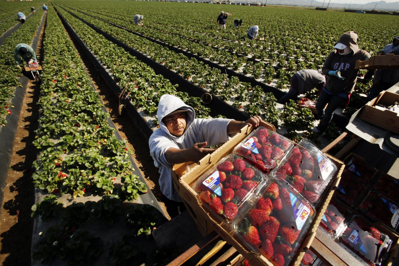 California’s new plastic recycling rules spark fights from all sides