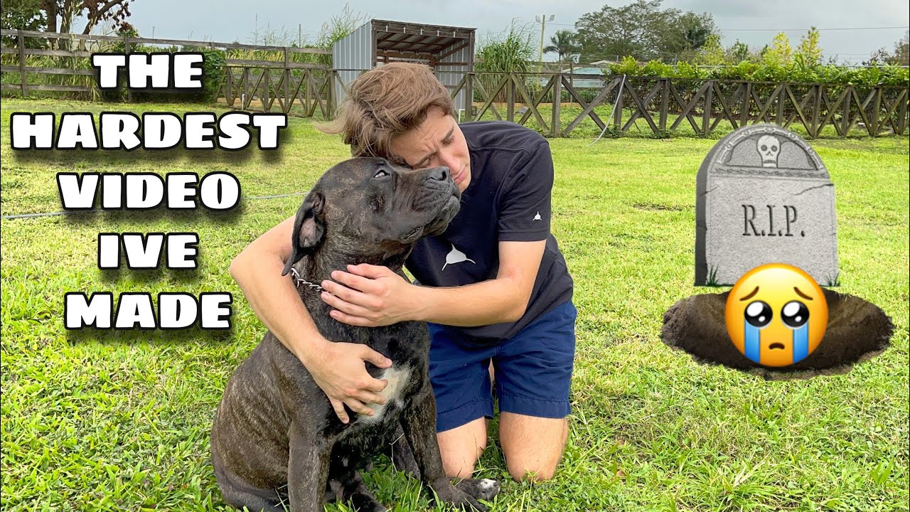 RIP MY DOG.... THE HARDEST VIDEO IVE EVER MADE
