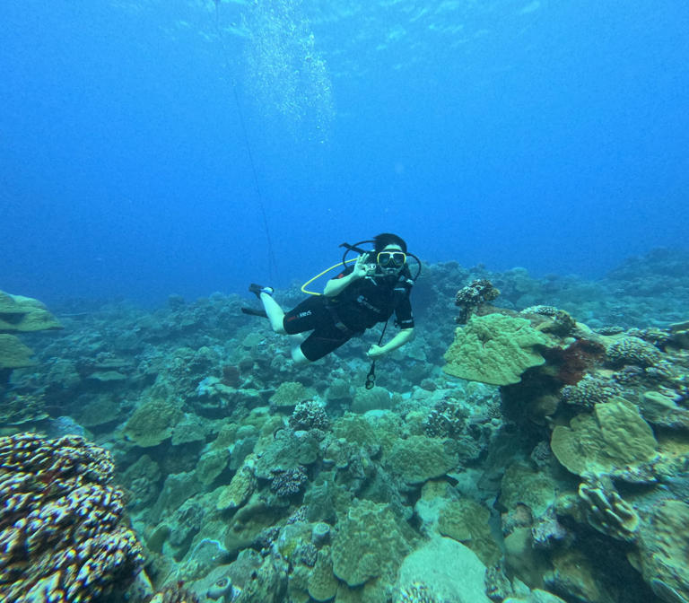 Diaspo #441: Nadia Aarab, the Moroccan scientist shaping deep sea ...