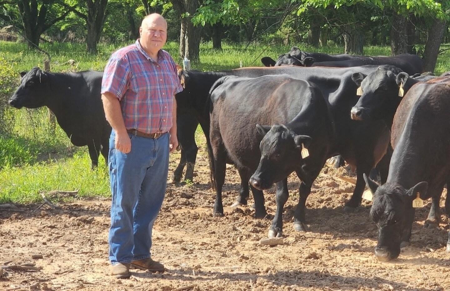 ‘They’ve killed my farm’: Georgia farmer says government seized 225 ...