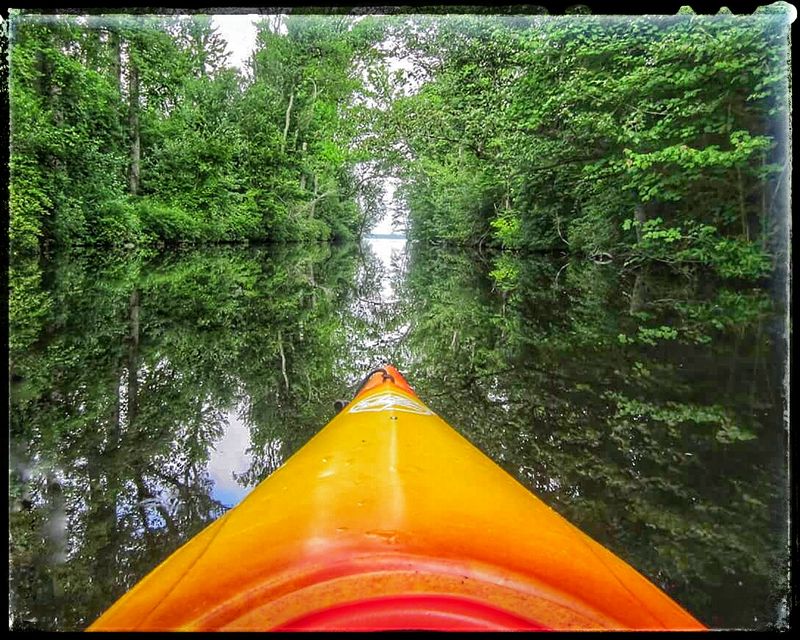 The Virginia swamp and its mysterious lake hide an ancient Native ...