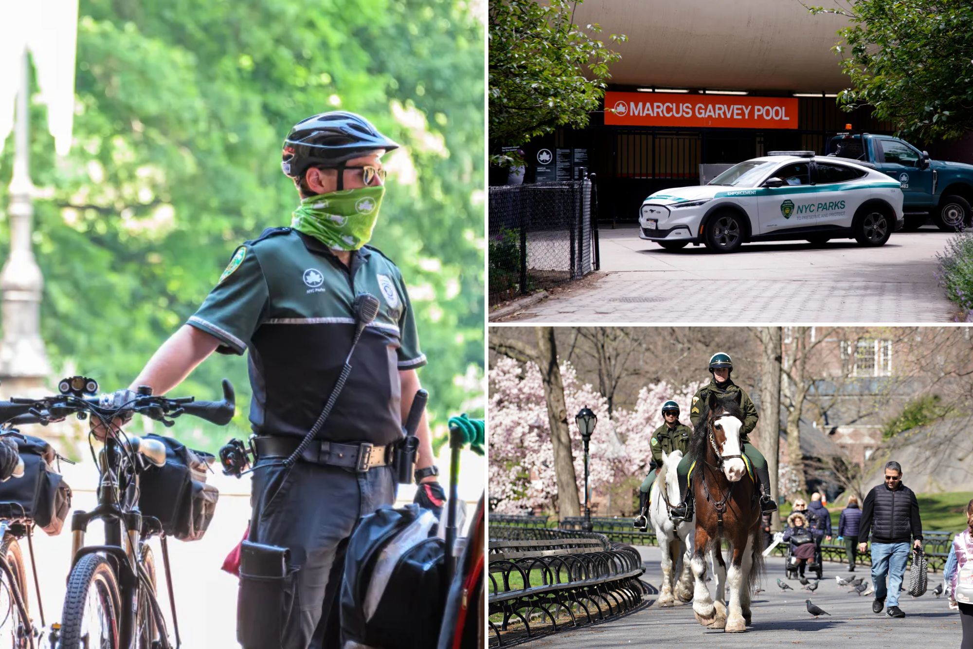 Mamdani’s $124.7B budget cuts a third of NYC Parks Enforcement Patrol ...