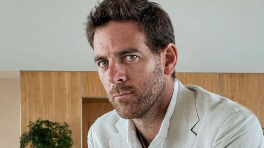 Entraron a robar a la casa de Juan Martín Del Potro: se llevaron dinero ...