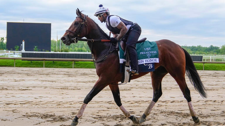 Preakness Stakes 2026 predictions, odds, time, horses: Top win, place ...