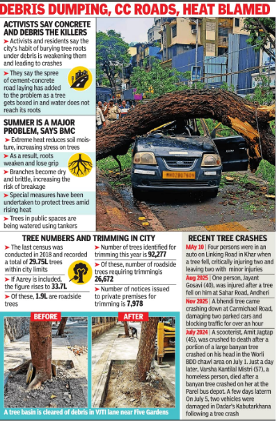 3 years, 12 dead, 125 hurt: Debate on root cause of tree falls rages in ...