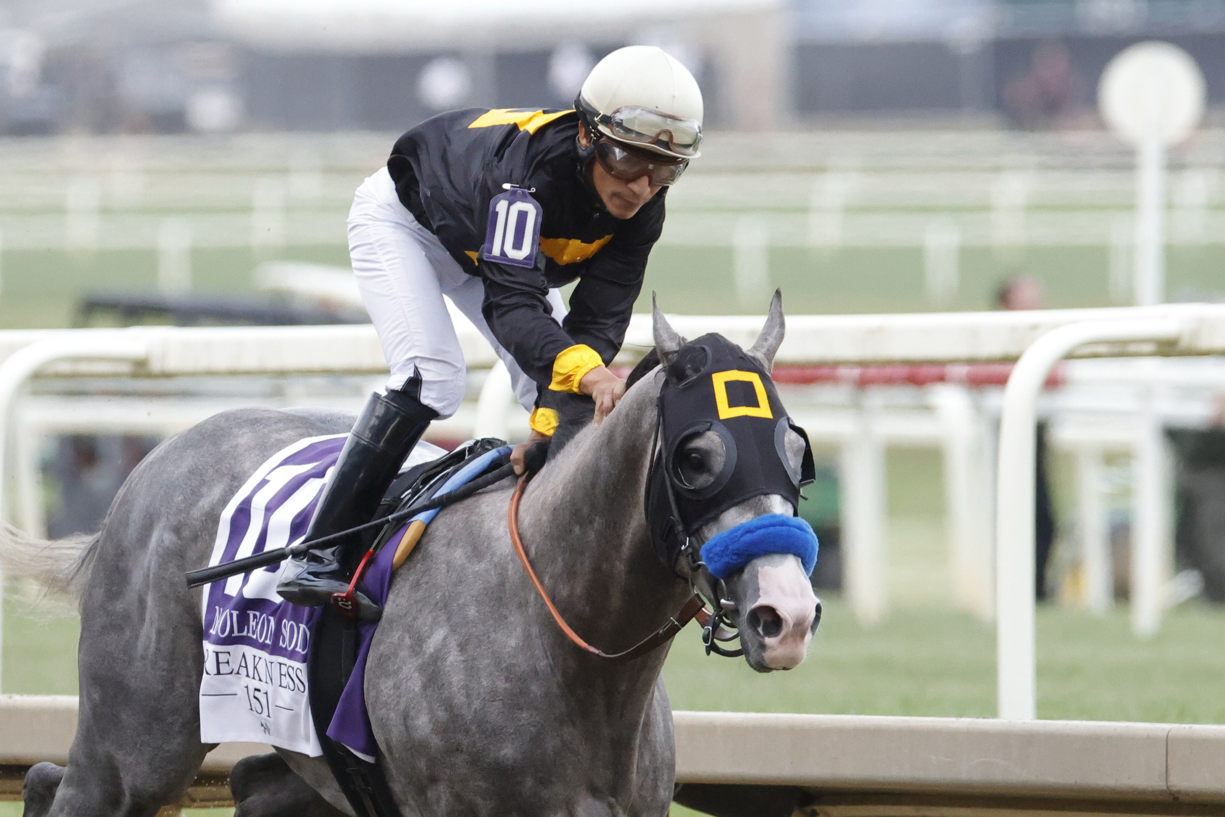 Napoleon Solo captures 151st Preakness Stakes
