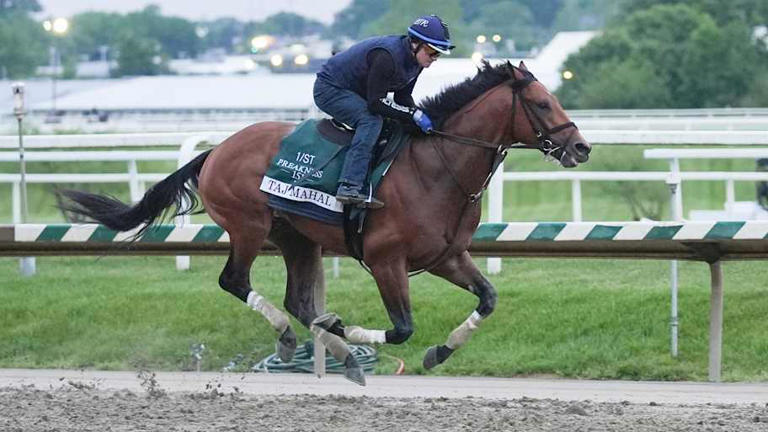 Who won the 151st Preakness Stakes: Full finishing order and results ...