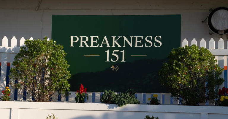 Napoleon Solo wins Preakness Stakes 151
