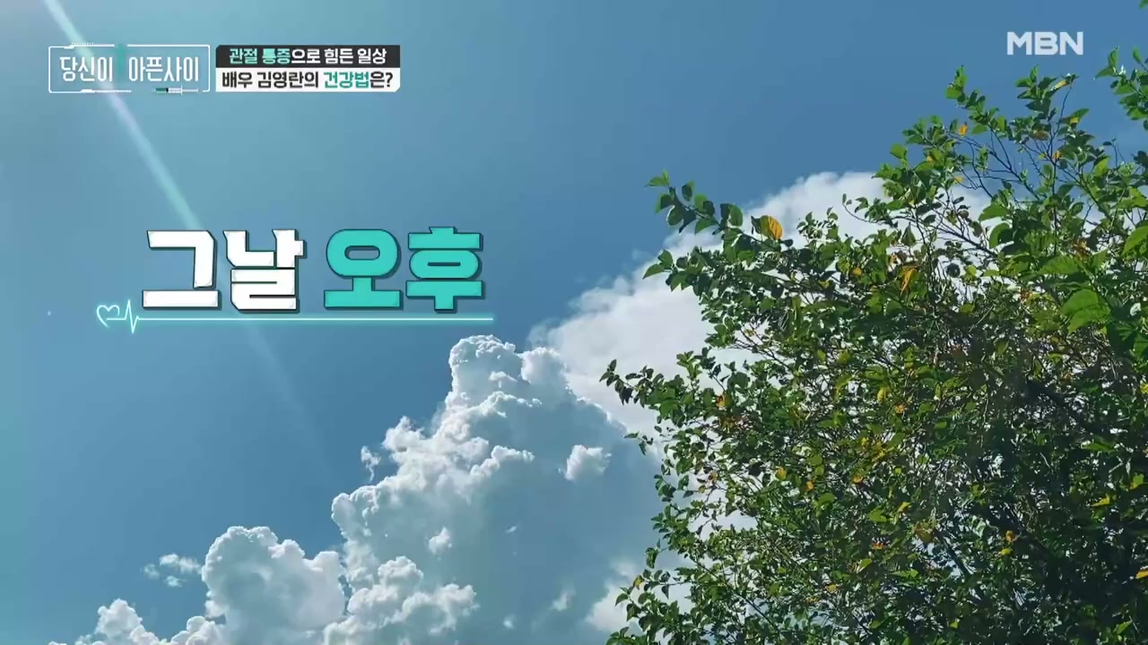 배우 김영란의 일상공개 및 무릎 관절 상태는? MBN 260517 방송